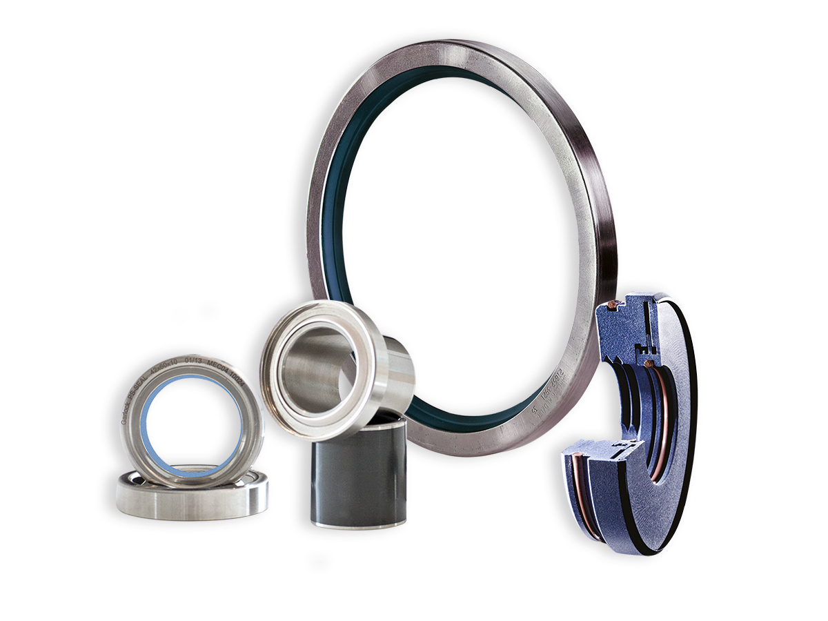 Category: Dynamic Seals